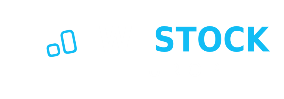 Grossiste en ligne et dropshipping avec Westock Europe
